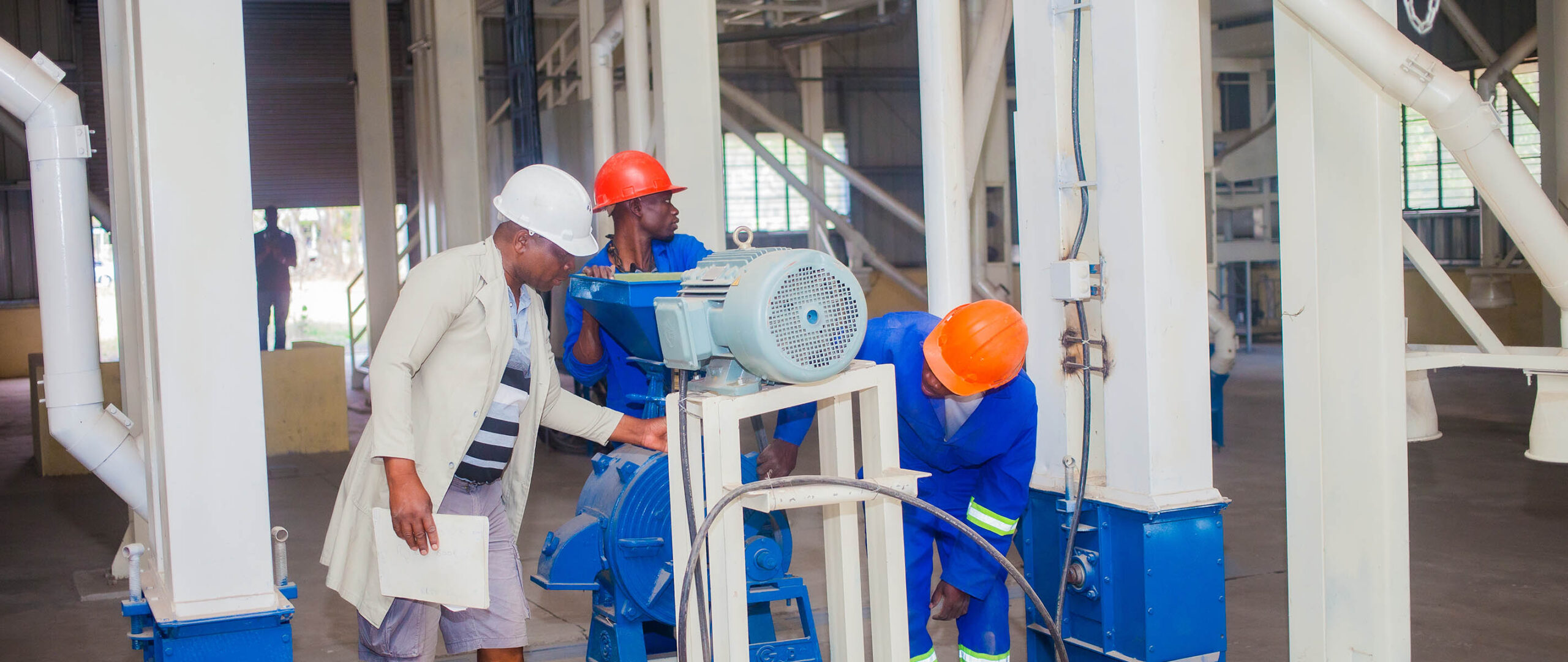 Dhal Plants - ADMARC Limited