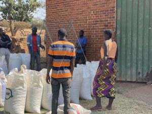 Trading - ADMARC Limited