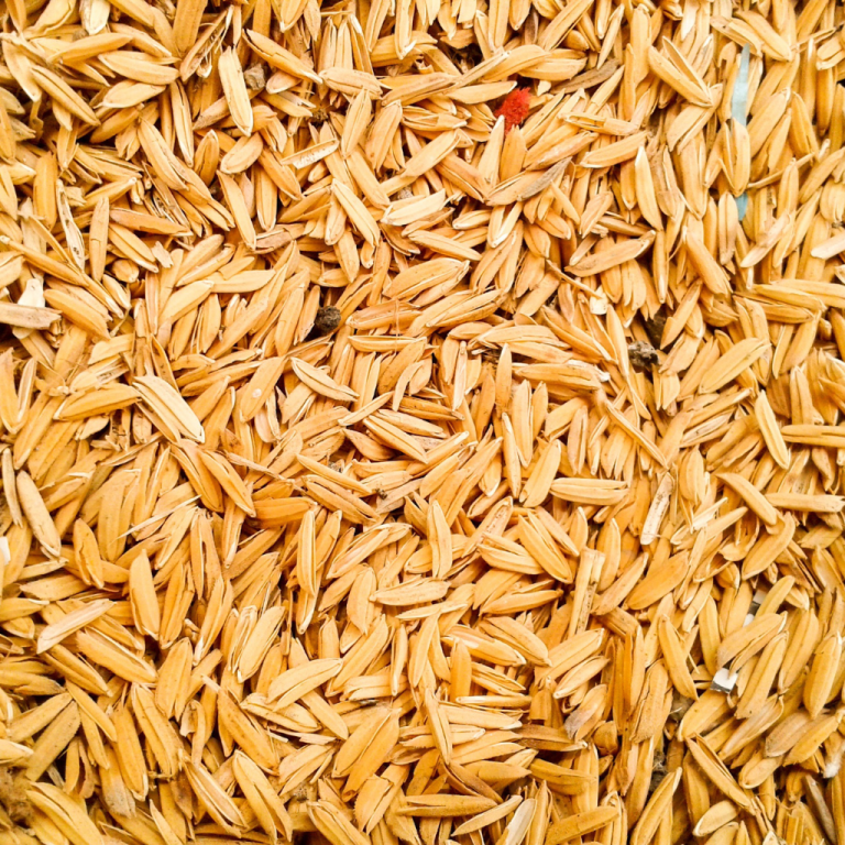Paddy (Rice) - ADMARC Limited